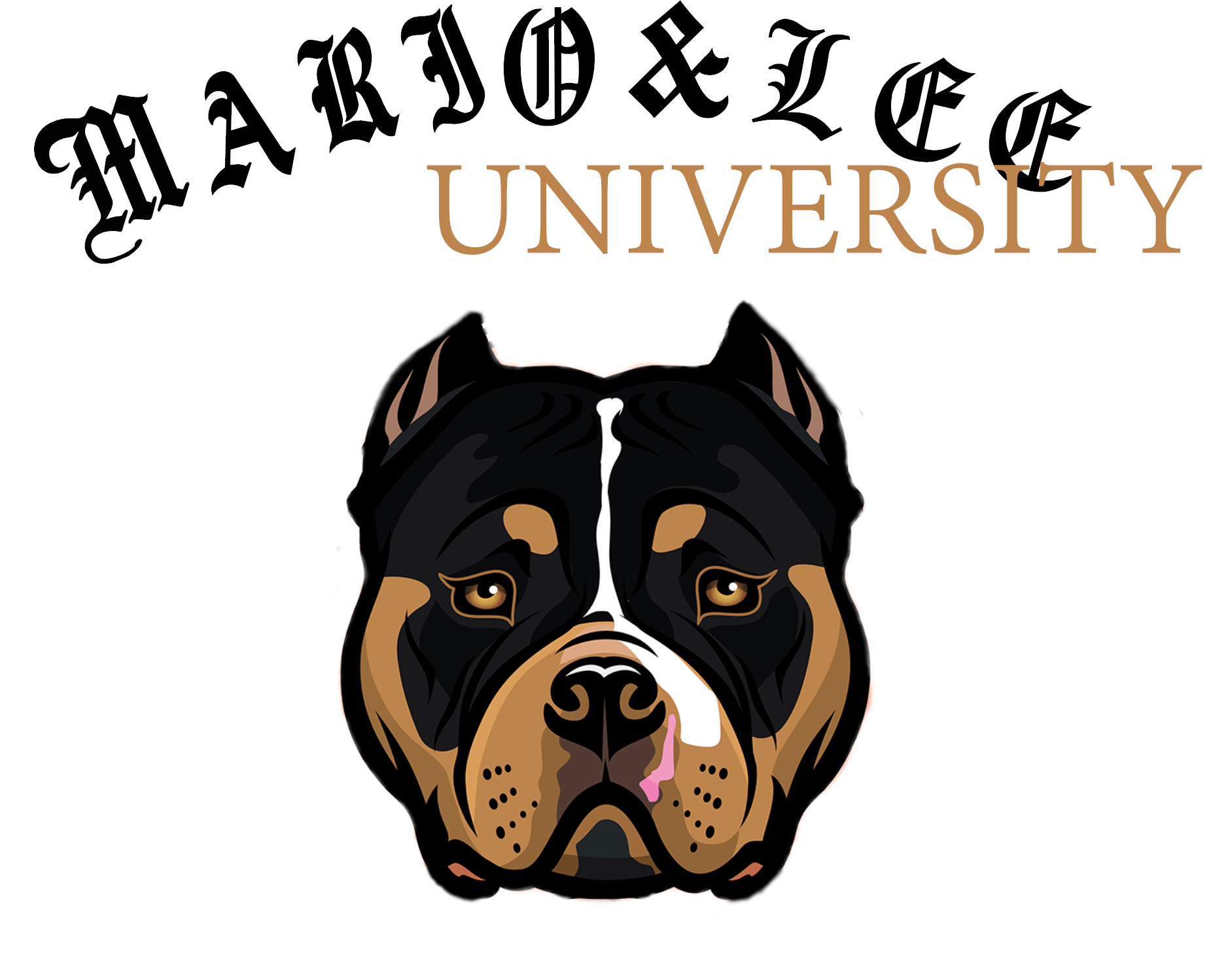 University Collection – Mario & Lee